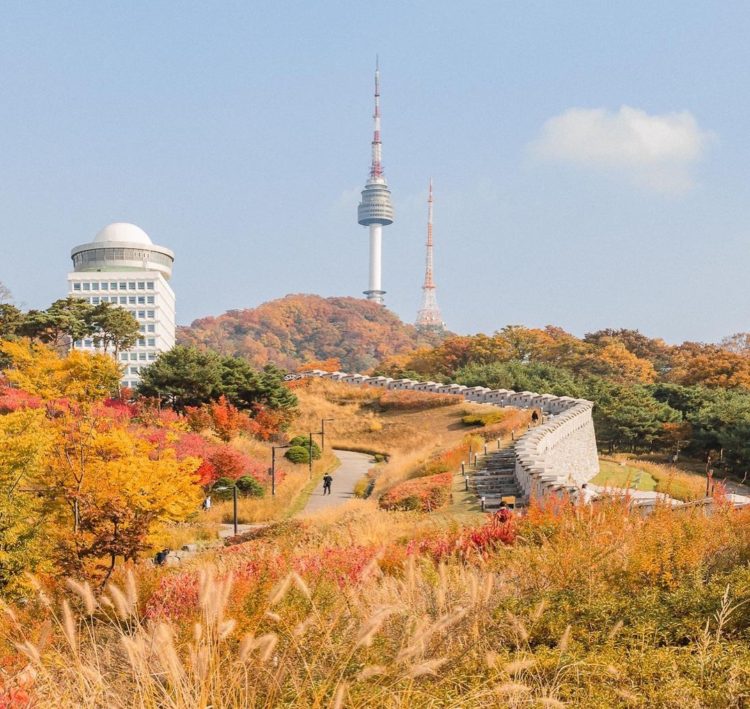 南山公園－_yoonic-8 - 有線寬頻 i-CABLE