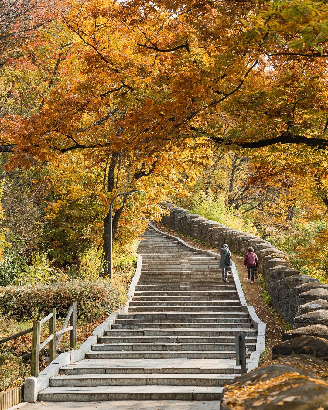 南山公園－_yoonic-2 - 有線寬頻 i-CABLE