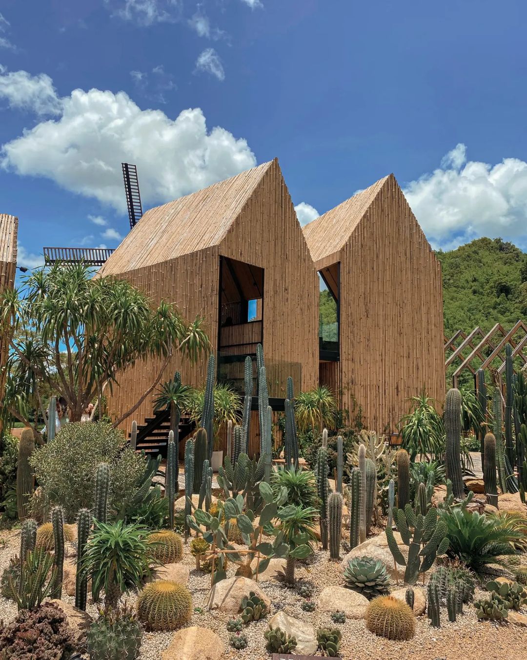 CHAN-nature-Cafe－katekate.o_c - 有線寬頻 i-CABLE