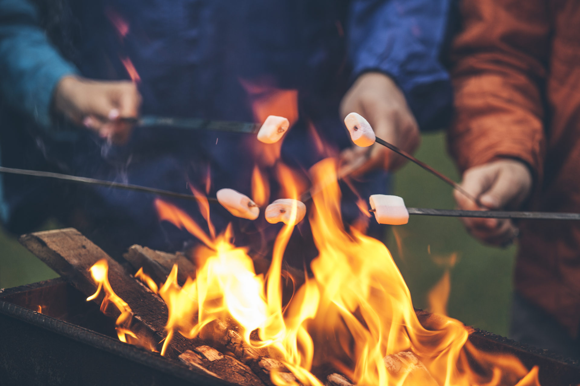 Hands of friends roasting marshmallows over the fire in a grill closeup ...